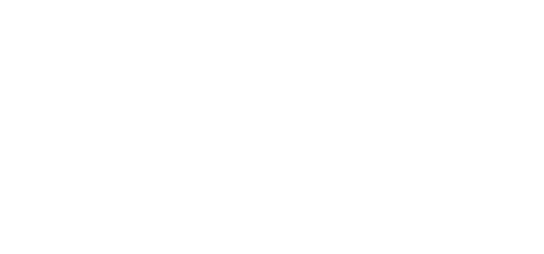 Five Rivers Services: Enterprise IT and Security